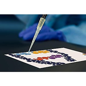 Edvotek S-45 Pipetting by Numbers: STEAM Pipetting Practice, for 10 Lab Groups