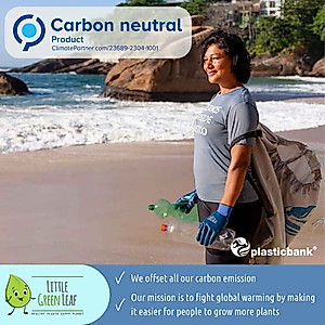 LGL Plant Watering Globes - 2 Pieces. Decorative Self Watering Planter Inserts Made From Hand-Blown Durable Glass. Keep your Outdoors and Indoor Plants Healthy. Ideal Plant Lover Gift (2pk Small)