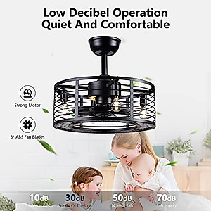 Dannilong Ceiling Fans with Lights - Modern Enclosed Ceiling Fan Indoor with Remote Control, Black Caged Industrial Ceiling Fan Light Kit for Living Room, Bedroom, Kitchen (Stripped)