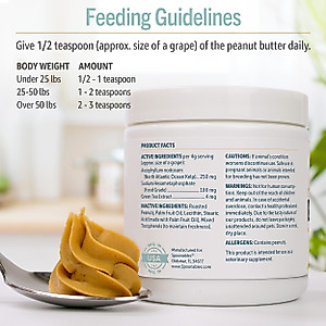 Spoonables Dog Peanut Butter - Dog Breath Freshener - Anti Plaque, Tartar, & Bad Breath - Dog Dental Treats for Better Oral Care and Gum Health - Dental (8.46oz)