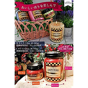 Candleberry Candles | Coconut Island Candle | Best Candles on The Market | Hand Poured in The USA | Highly Scented & Long Lasting | Large Jar 26 oz.