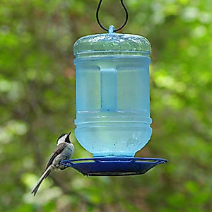 Perky-Pet 780 Outdoor Hanging Water Cooler Bird Waterer and Dispenser,Blue, 1.5 Qt Capacity
