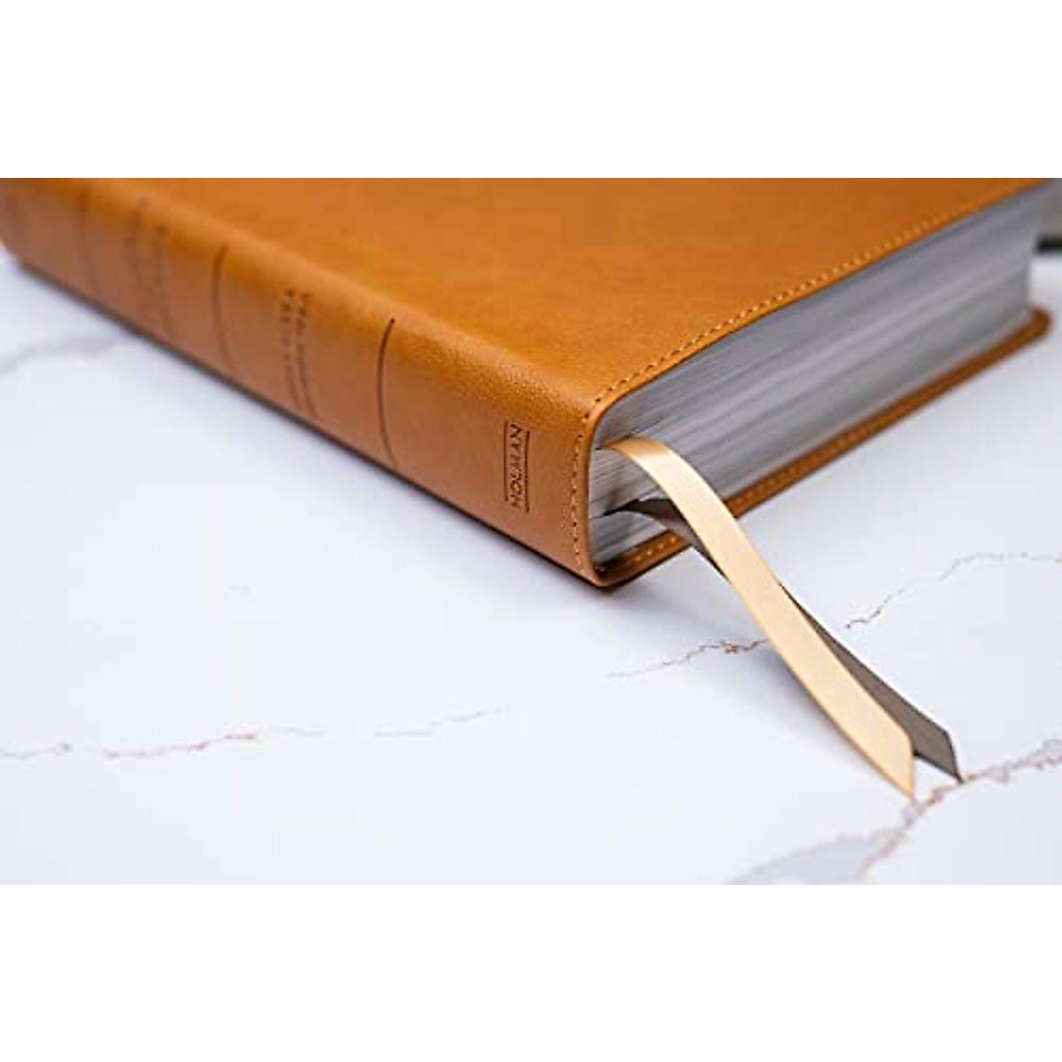 RVR 1960 Biblia ilustrada de la Tierra Santa, café símil piel / RVR 1960 Holy land Study Bible, brown LeatherTouch (Spanish Edition)