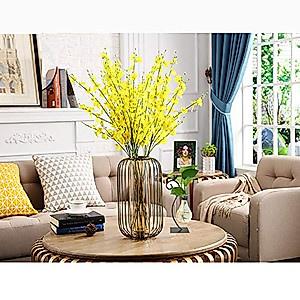 Marbrasse Desktop Glass Planter Hydroponics Vase,Planter Bulb Vase with Holder for Home Decoration,Modern Creative Bird Plant Terrarium Stand, Scindapsus Container (Bulb Vase)