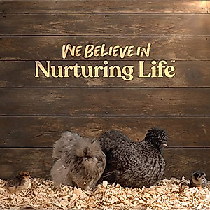 Harris Farms Free Range Hanging Poultry Feeder | Twist Lock Base | 10 Pound,White