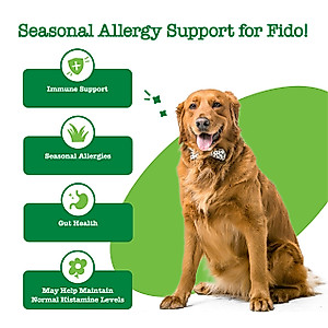 Zesty Paws Allergy Immune Soft Chews + Hemp Seed for Dogs - with Turmeric, Cod Liver Fish Oil, Beta Glucan, Vitamin C & Quercetin - Supports Dog Immune System Function + Seasonal Allergies - 90 Chews