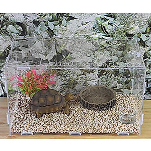 OMEM Reptile Natural Bowl Food and Water Dish Resin Made (Tree bark)