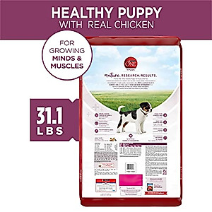 Purina ONE Plus Healthy Puppy Formula High Protein Natural Dry Puppy Food with added vitamins, minerals and nutrients - 31.1 lb. Bag