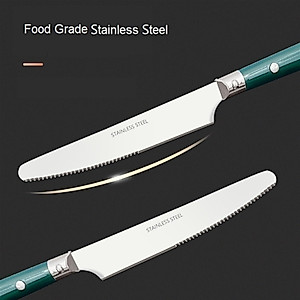 SENIDIKE 5/20/30-Piece Thickened Stainless Steel Silverware Flatware Cutlery Set Service for 1/4/6, Steak Knife And Fork Spoon Dessert Tea Spoon Fruit Fork, Durable Reusable White Blue Green Red