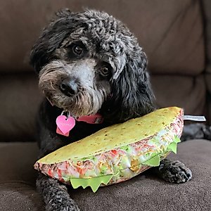 Doggijuana | Refillable Catnip Dog Toy | Naturally Calming | Catnip Grown in The USA (Taco)
