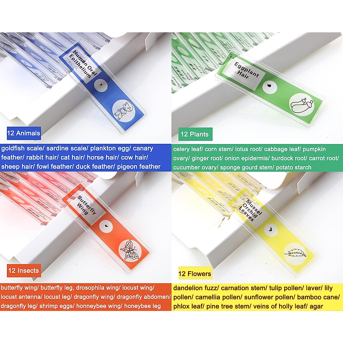 Ninyoon 48pcs Microscope Slides with Specimens for Kids – Kids Prepared Stereo Microscope Slides for Stereo Microscope and Other, Animals Insects Plants Flowers Specimens