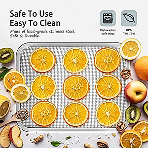 Septree Food Dehydrator 4 Stainless Steel Trays Food Dryer Machine with Digital Timer, Temperature Control and Safety Over Heat Protection for Jerky Herbs Fruit Veggies Snacks