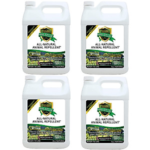 Natural Armor Animal & Rodent Repellent Spray. Repels Skunks, Raccoons, Rats, Mice, Deer Rodents & Critters. Repeller & Deterrent in Powerful Peppermint Formula – 128 Fl Oz Gallon Refill Case of 4