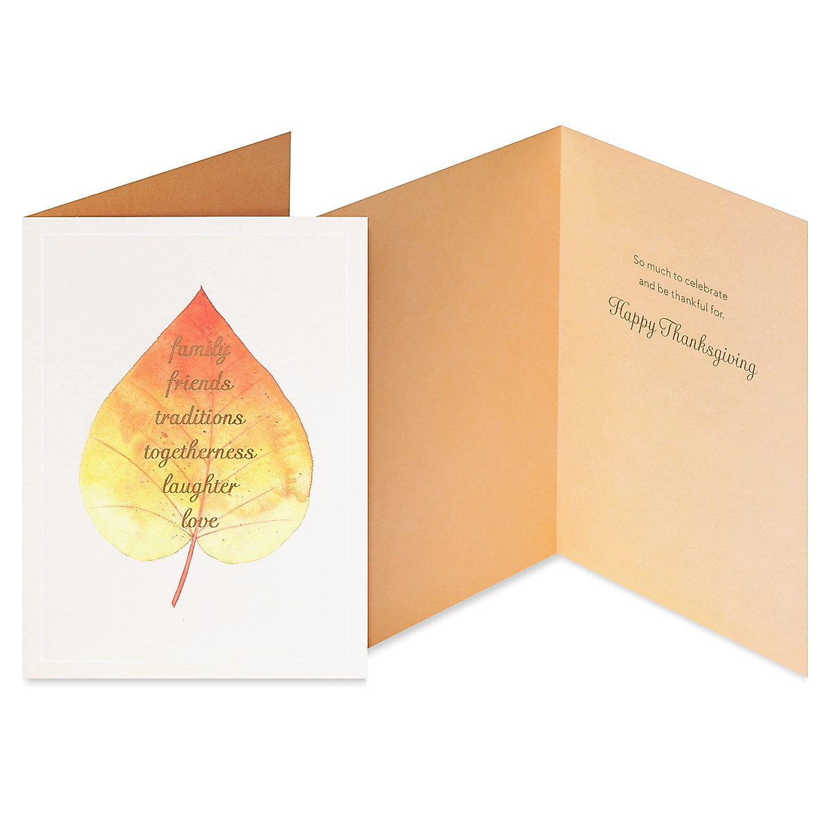American Greetings Thanksgiving Cards, Giving Thanks and Much To Celebrate (6-Count)