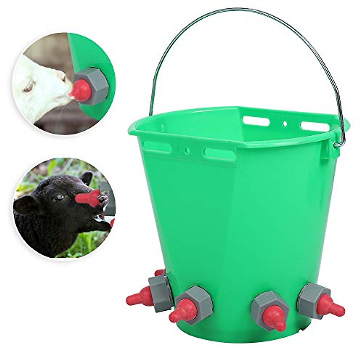Cow Feeder Bucket Plastic Multiple Nipples 8L High Capacity Lamb Milk Feed Bucket Sheep Milk Feeding Bucket for Cattle Sheep Livestock(#5)