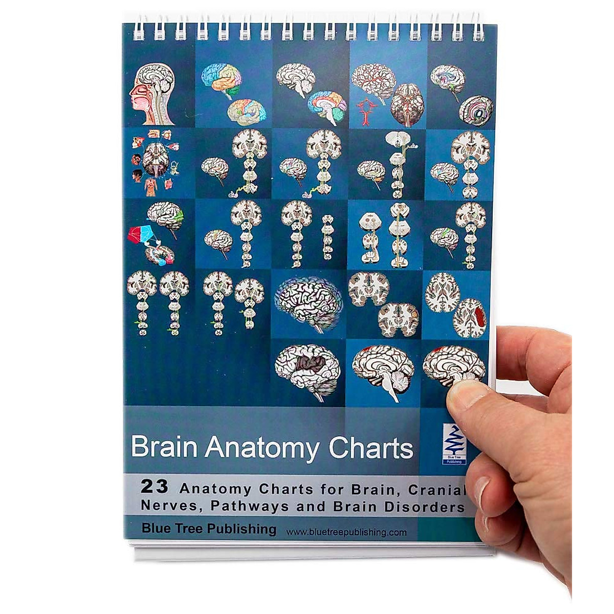 Brain Flip Charts