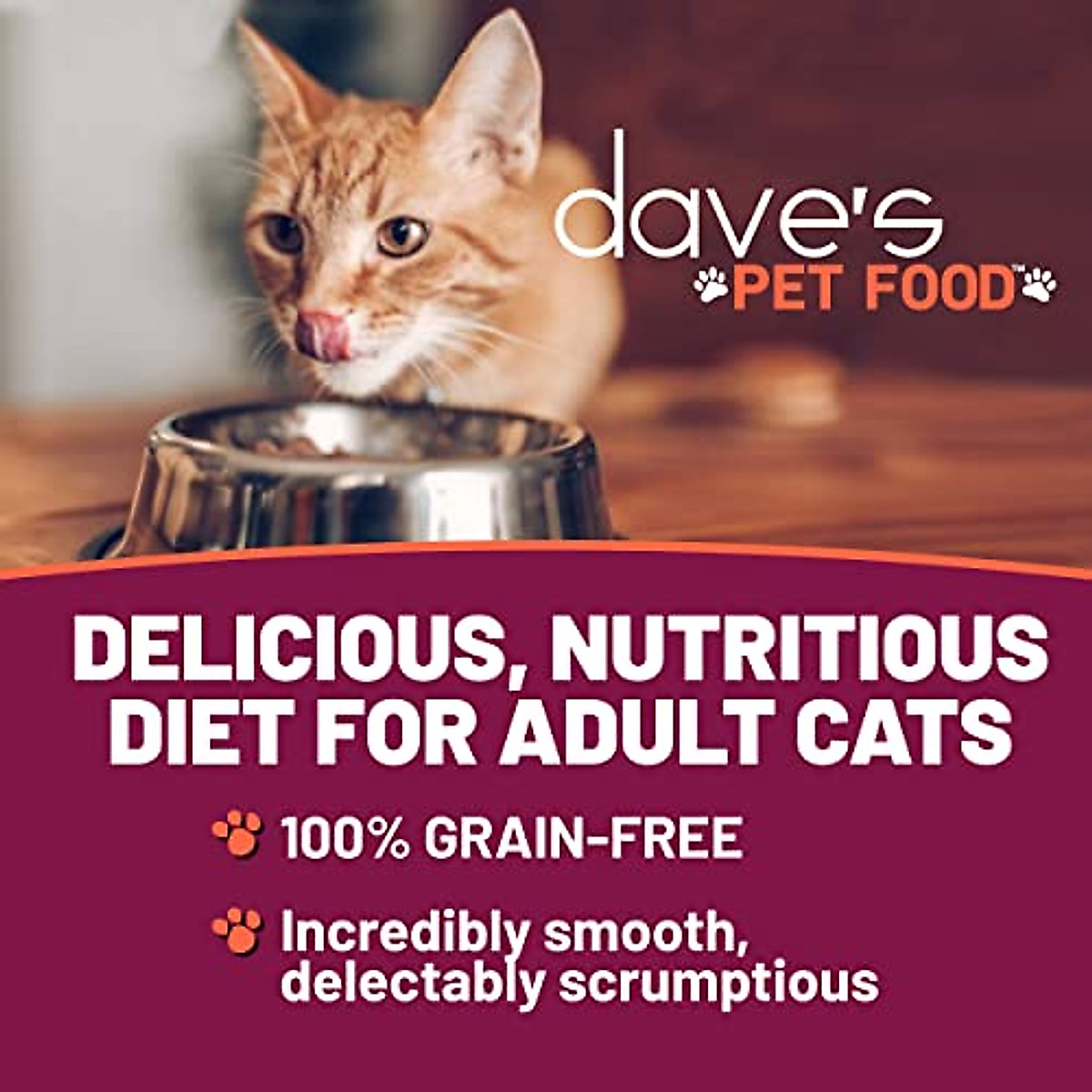 Dave's Pet Food Grain Free Wet Cat Food (Shredded Chicken in Gravy), Made in Canada Naturally Healthy Canned Cat Food, Added Vitamins & Minerals, Wheat & Gluten-Free, GMO-Free, 5.5 oz (Case of 24)