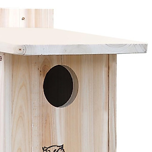 BestNest Premium Screech Owl/Kestrel House