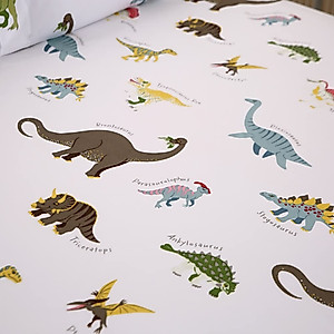 MAG Dinosaur Sheet Twin Size White Based Dinosaur Flat Sheet Only, Super Soft Microfiber, for Kids, Teens and Dinosaur Lovers, Twin Size