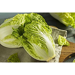 Gaea's Blessing Seeds - Chinese Cabbage Seeds - Michihili Heirloom - Non-GMO Seeds with Easy to Follow Planting Instructions - Open-Pollinated High Yield Heirloom 94% Germination Rate