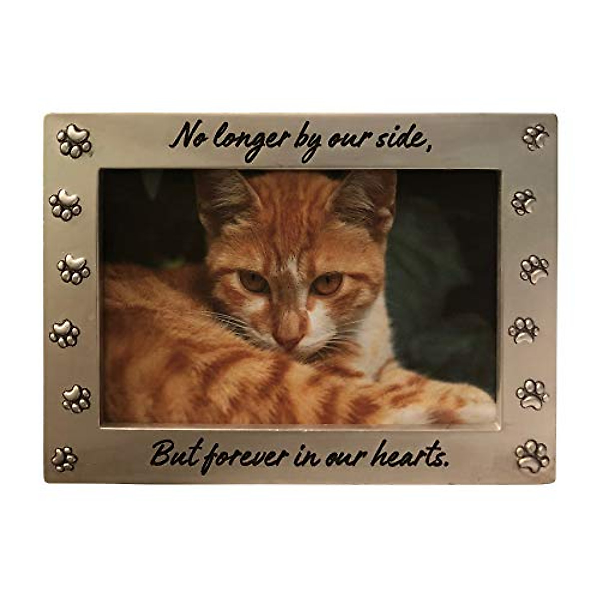 NewLifeLandia Pet Memorial Picture Frame Keepsake for Dog or Cat, Perfect Loss of Pet Gift for Remembrance and Healing
