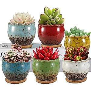 ZOUTOG Succulent Pots, 4 inch Colorful Ceramic Flower Pots, Succulent Planter with Drainage Hole and Bamboo Plant Saucers
