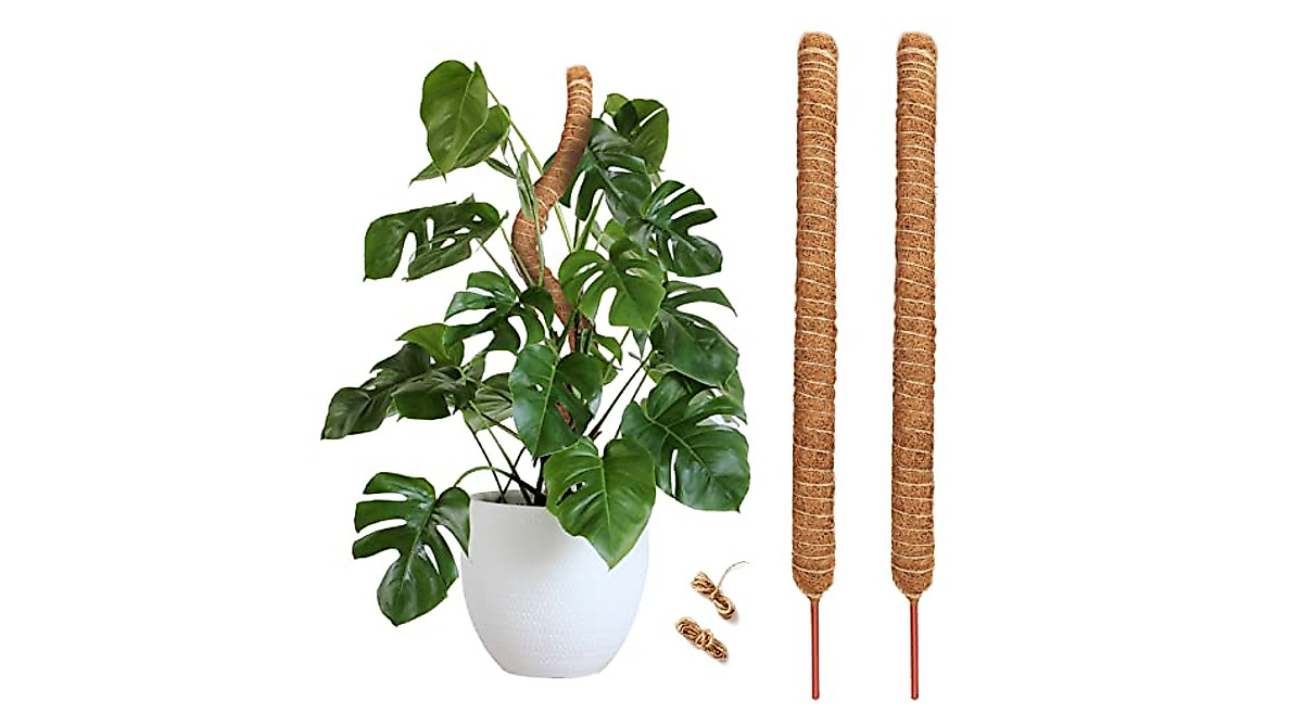 ADEBOLA 26-Inch Moss Poles for Indoor Climbing Plants | Support & Shape ...