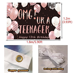 13th Birthday Backdrop Banner, OMG UR a Teenager 13th Birthday Photography Background Black and Rose Gold, 13 Year Old Girls Birthday Party Backdrop Poster Fabric 5x4ft