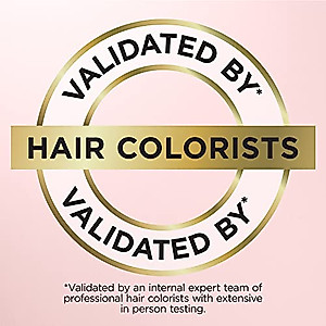 L'Oreal Paris Le Color One Step Toning Hair Gloss, Black Noir, 4 Ounce