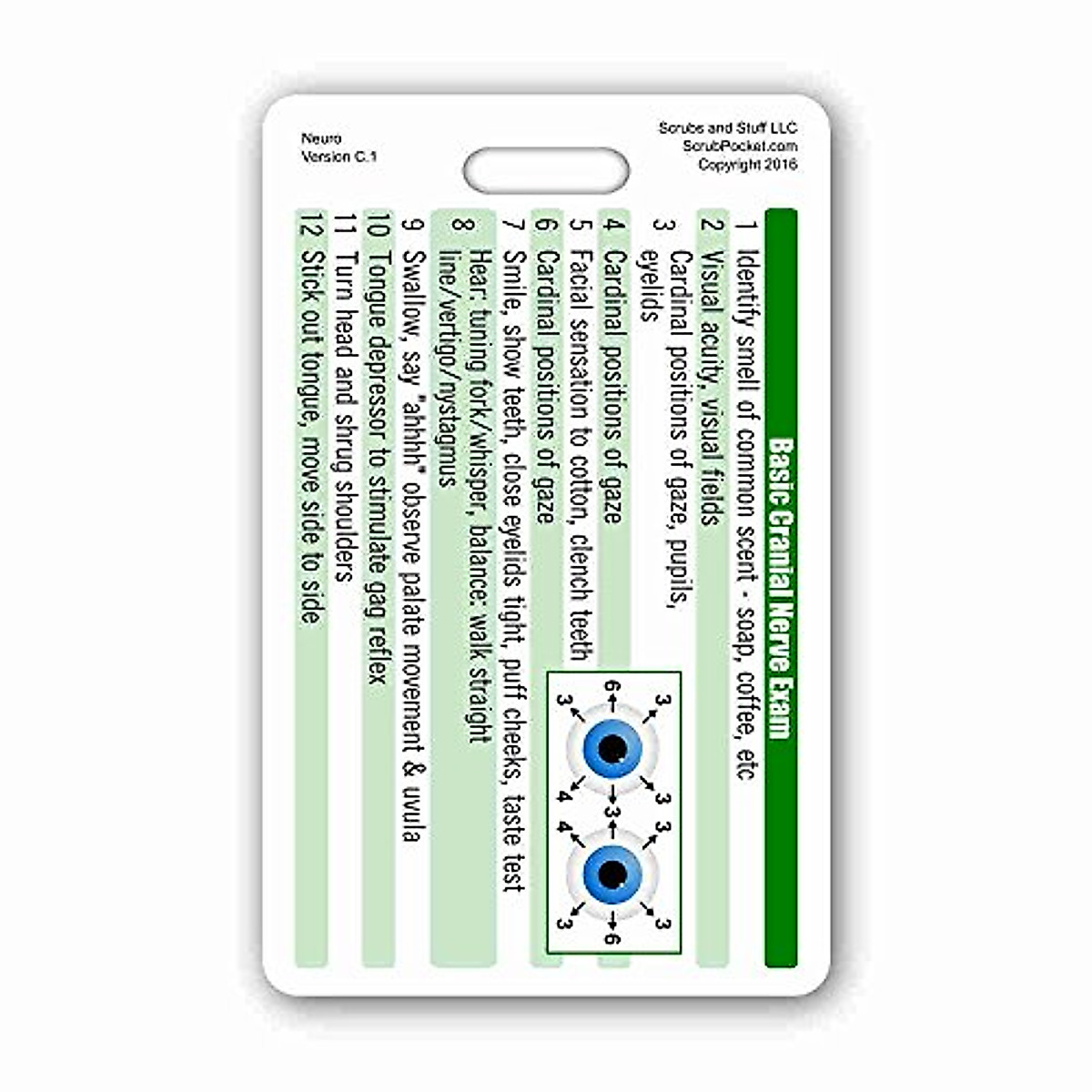 Cranial Nerve Exam Vertical Badge Card (1 Card)