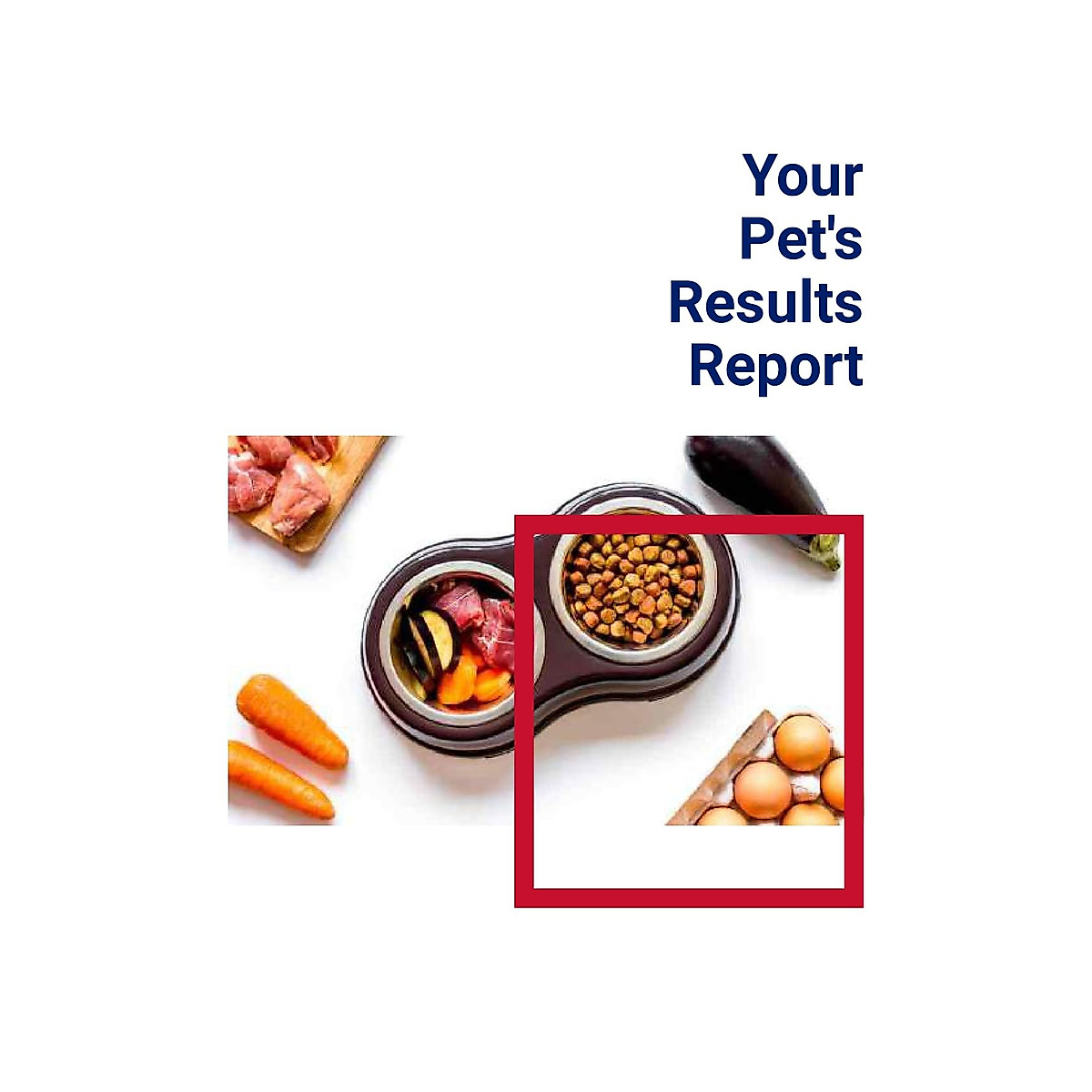 AffinityDNA Dog Intolerance Test for 200 Food and Non-Food Allergens | Home Sample Collection Kit for 1 Canine | Results in 5 Working Days | A Complete Allergy Kit with No Extra Fees