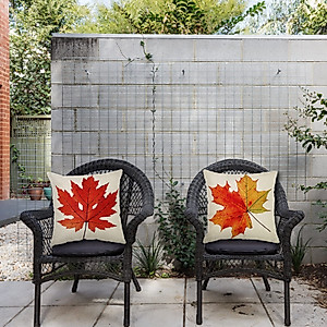 Fall Pillow Covers, Maple Leaves Throw Pillow Covers, 18 Inch Autumn Decorative Pillow Cases, 2 Pack Sofa Pillow Covers, Linen Cushion Cover for Couch Bed and Car