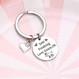 NOTHERS RSZOTW Goat Gift Goat Owner Gift Crazy Goat Lady Jewelry Goats Lover Keychain Goat Farmer Keychain Crazy Goat Lady Keychain Goat Owner Keychain Goat Keychain (Goats Lover Keyring)