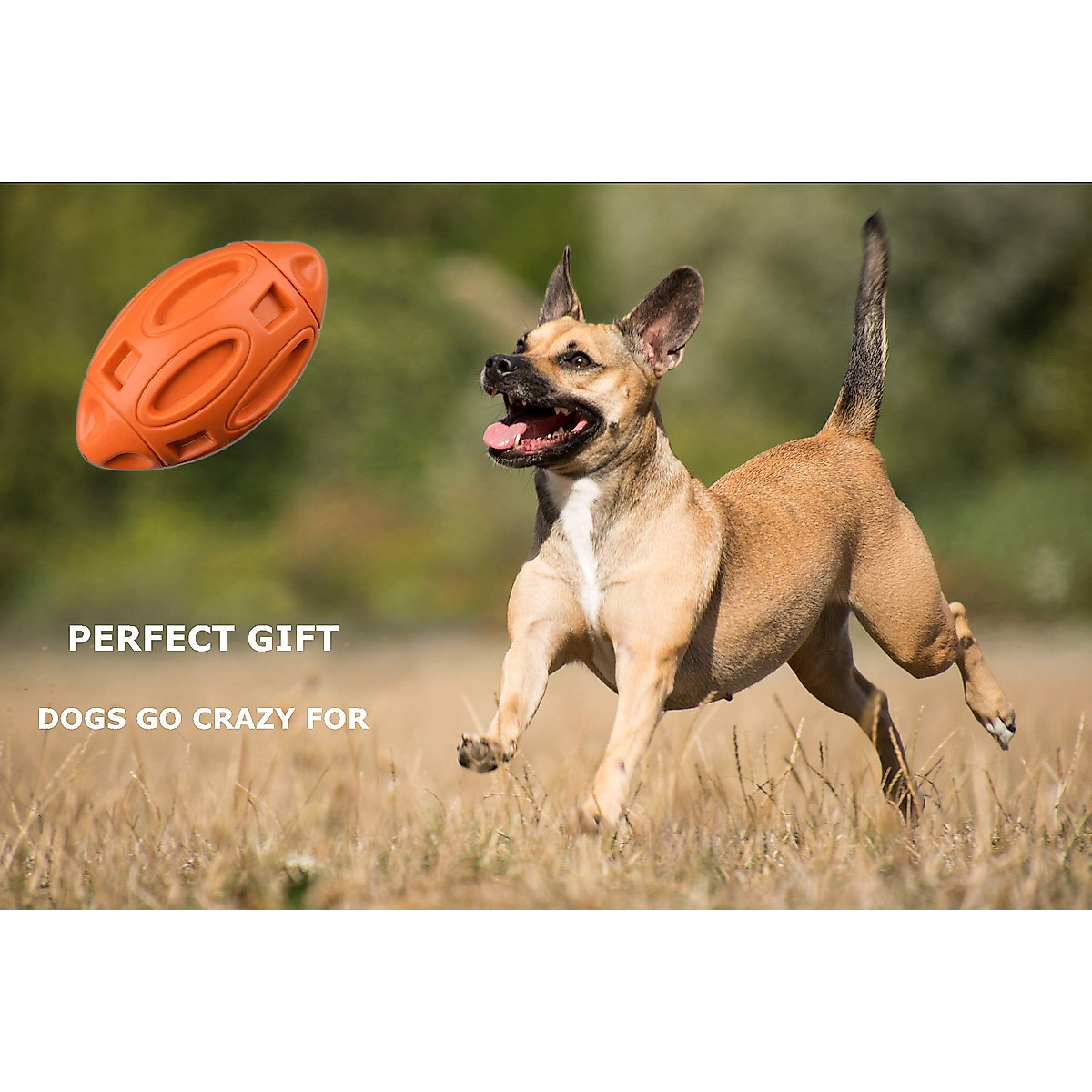 AccuteInsite Durable Rubber Football Squeaky Toys for Aggressive Chewers Toughest, Dog Squeaking Interactive Toys Tough Dog Chew Toys Ball for Medium and Large Breed, Natural Rubber Pet Toys