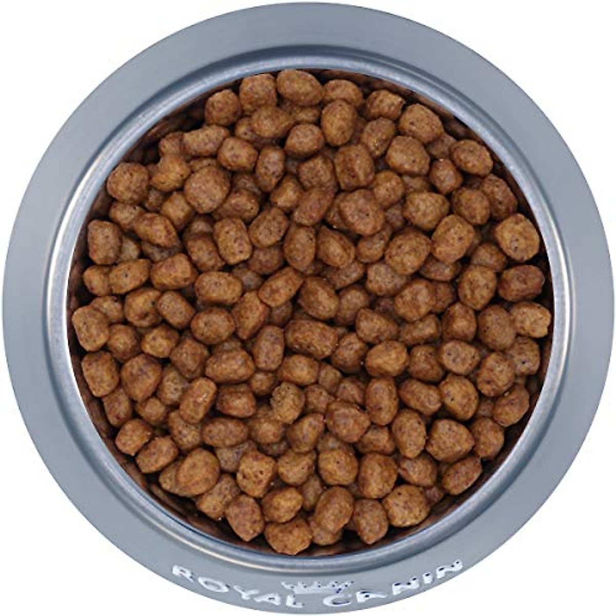 Royal Canin Chihuahua Adult Dry Dog Food, 10 lb bag