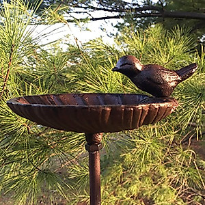 Scallop Shell Garden Stake, Bird Feeder, Cast Iron, 3 Feet 2 1/2 Inches Tall, Rustic Garden Decoration