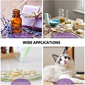 Teenitor 200PCS 2ML Disposable Pipettes Plastic Transfer Pipettes Eye Dropper Plastic Pipettes Dropper for Science Experiments, Essential Oil Blending, Crafting