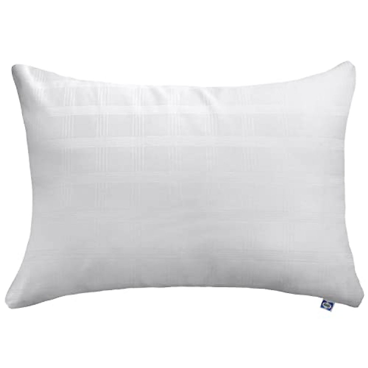 Sealy Clean Luxury 100% Cotton Zippered Encasement Stain Release Pillow Protector- King Size- 2 Pack