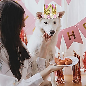 Haomaomao Baby Birthday Crown, Girls Party Hat Princess Gold Flower Tiara Photo Props Decorations Birthday Gifts (1st Birthday Crown)