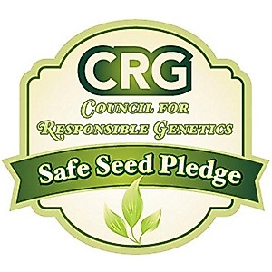 Earthcare Seeds Giant Poppy 250 Seeds (Papaver Somniferum Giganteum) Non GMO - Heirloom