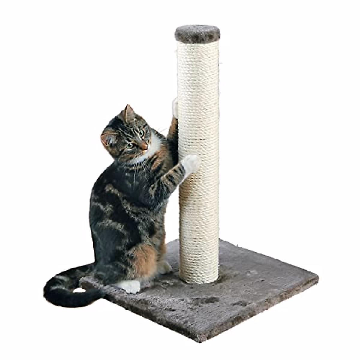 TRIXIE Parla Scratching Post, Durable Sisal Rope, 24.5" Tall, Gray