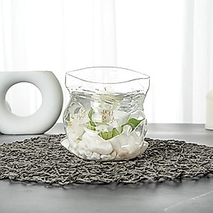 22 Ounce Glass Zipper Bag, 1 Large Glass Bag - Realistic Crinkled Edges, Serve Candy, Popcorn, or Nuts, Clear Glass Bag Bowl, Dishwasher-Safe, Flat Base - Restaurantware