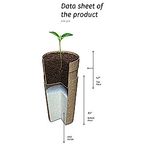 KIRI Biodegradable Tree Urn for Cremated Ashes - Eco Burial Urn. Grow a Living Memory Tree from The Ashes. Tree Seed (Apple Tree)