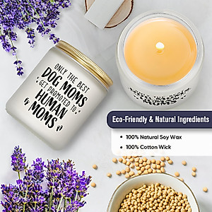 New Mom Gifts for Pregnant Women, Funny Dog Mom Pregnancy Gift for Expecting Mom, Mother to be Gift for First Time Moms, Congrats on Pregnancy Present for Wife Friend Sister, Lavender Scented Candle