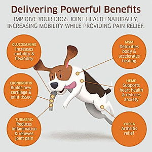 Glucosamine for Dogs - Hip and Joint Supplement Dogs - Glucosamine Chondroitin for Dogs with MSM, Hemp, Turmeric & Omega 3 - Dog Hip and Joint Supplement - Dog Pain Relief, 120 Soft Dog Joint Chews