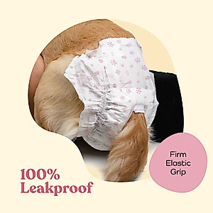 Comfortable Female Dog Diapers - 12-Pack Super Absorbent Disposable Doggie Diapers - FlashDry Gel Technology & Wetness Indicator - Leakproof Diapers for Dogs in Heat, Excitable Urination, Incontinence