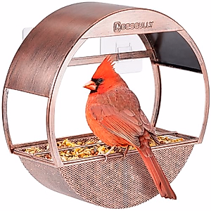 Window Bird Feeder, Desgully Metal Window Bird Feeder, Window Bird Feeders with Strong Suction Cups, Super Adhesive Sheet×4，Large Outdoor Bird Feeder, Bird Watching (Round)