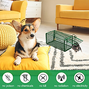 Qualirey 4 Pcs Humane Rat Trap Chipmunk Squirrel Cage Trap Foldable Rodent Trap for Small Live Animal Voles Hamsters Cage Catch and Release for Kitchen Yard Garage Indoors Outdoors (Green)