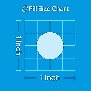 Puritan's Pride Chewable 500 mg with Rose Hips Supports Immune System Health Vitamin C 250 Count (Pack of 1)