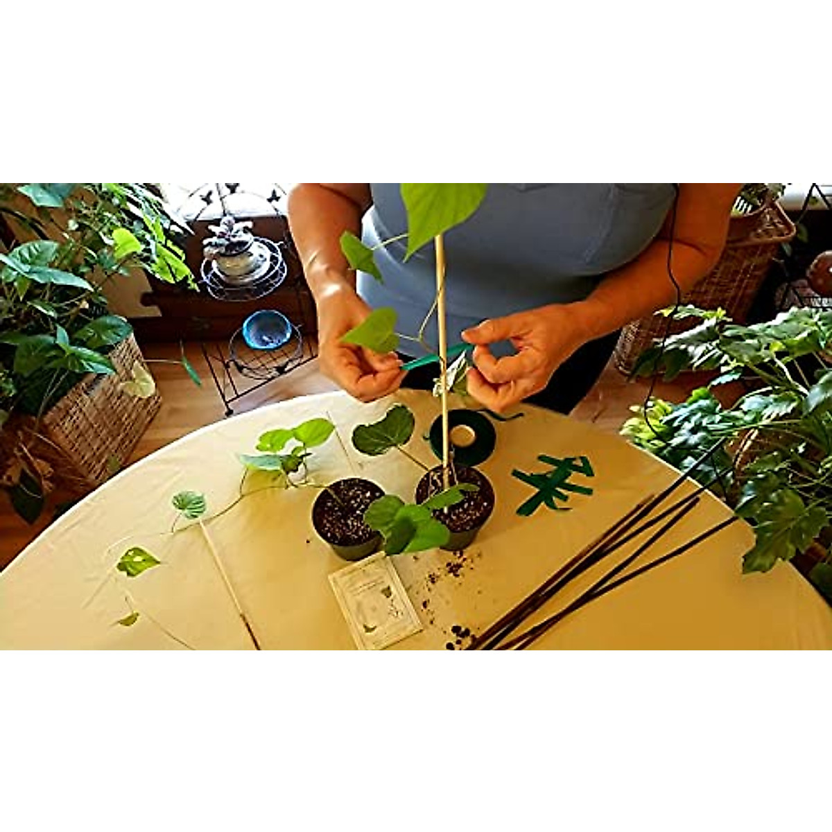 40 Pack 18'' Natural Bamboo Plant Stakes, Wood Plant Supports, Wood Garden Sticks for Plants Tomato Floral Potted, Wooden Sign Posting Garden Sticks